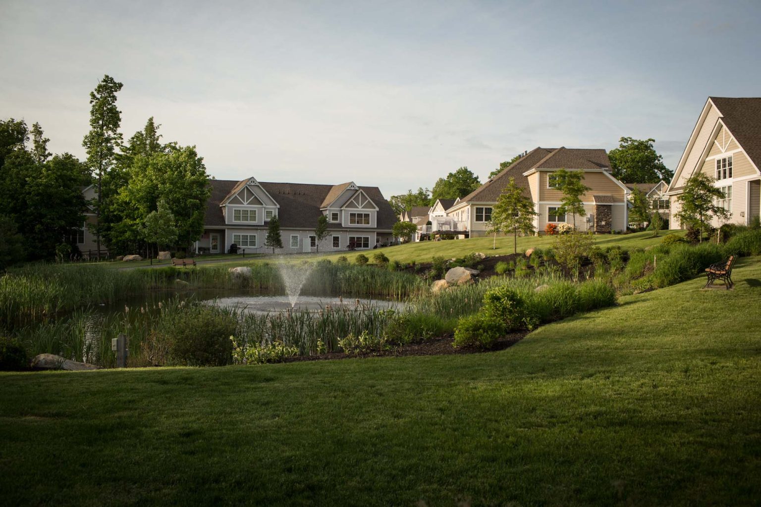 About Us, Total Turf Inc. | Bedford, NY & Greenwich, CT Landscaping ...