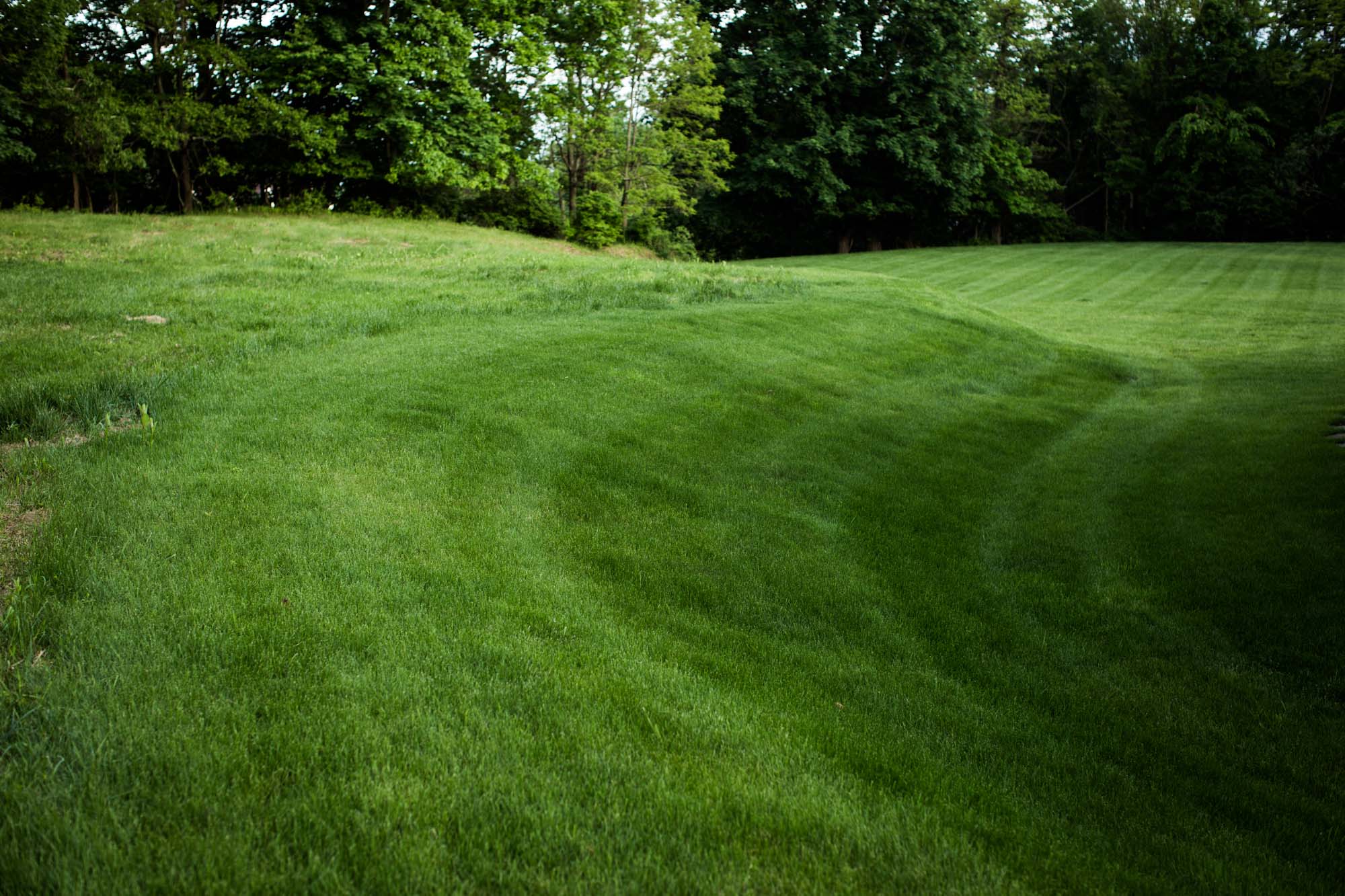 About Us, Total Turf Inc. | Bedford, NY & Greenwich, CT Landscaping ...