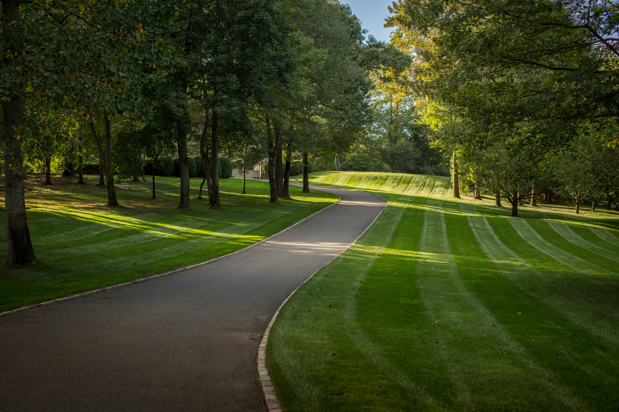 Artificial Grass | Bedford, NY & Greenwich, CT | Total Turf Inc.